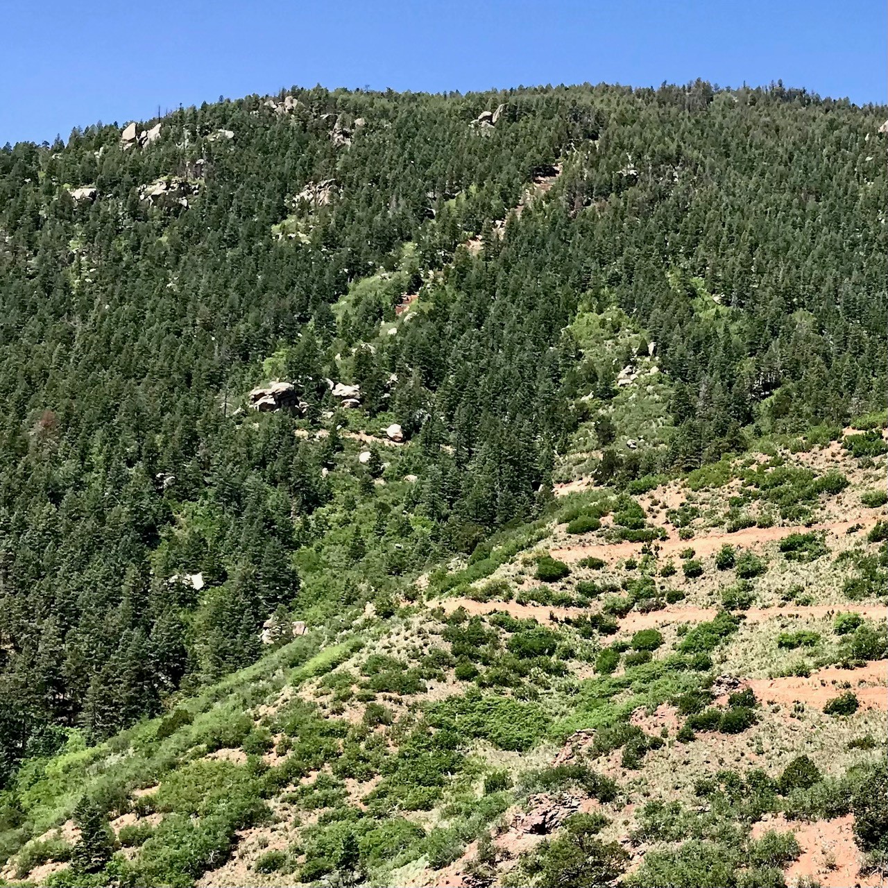 The Mount Manitou Incline’s new return trail is now open. Well, part ...